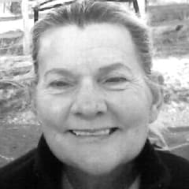 Debra Ann Zigmond Oman obituary and life story | The Memories